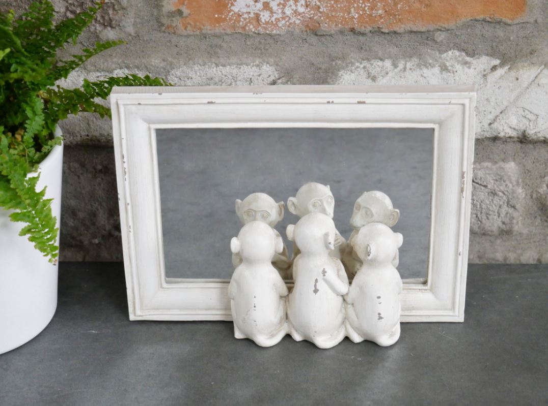 Monkey and Mirror - D4797 - Kilkenny Architectural Salvage & Antiques